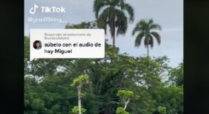 Ay Miguel. ¿Cómo surgió este audio viral de TikTok?