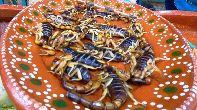 10 insectos comestibles en México que debes probar