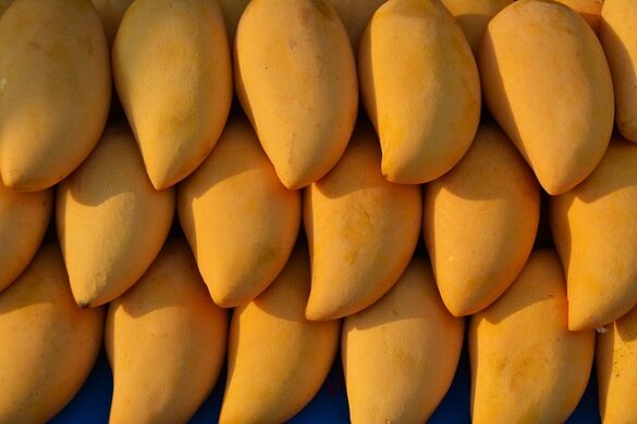 Mango ataulfo. Origen e historia de esta fruta mexicana