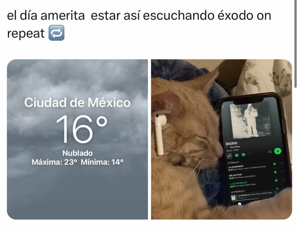 Los mejores memes del estreno de Éxodo de Peso Pluma